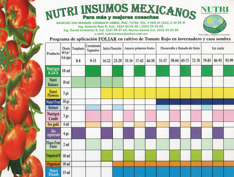 Guía tomate – Nutri insumos